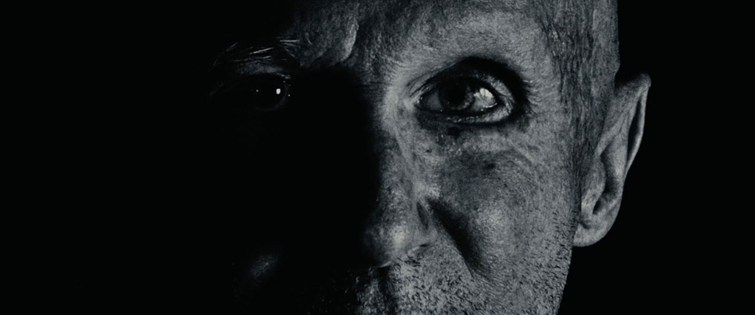 TRACE OF TRACE - The Trace of Time