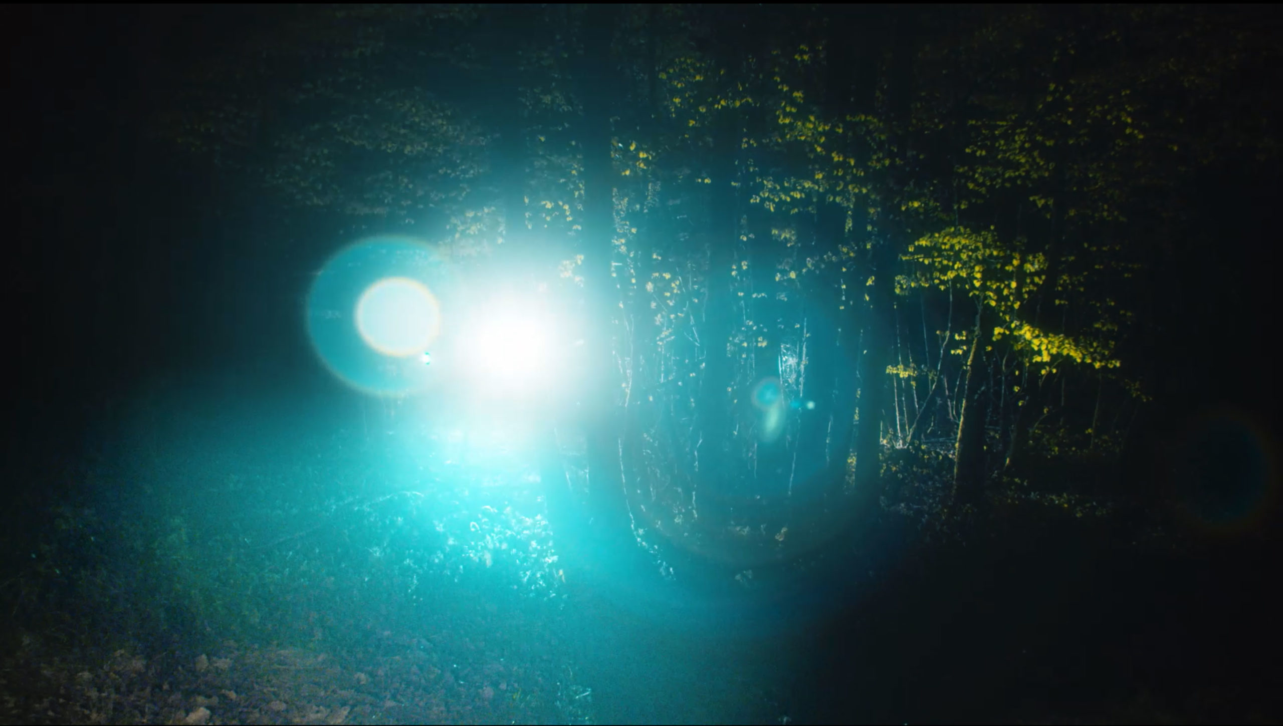 The Trace of Time - by Saadi